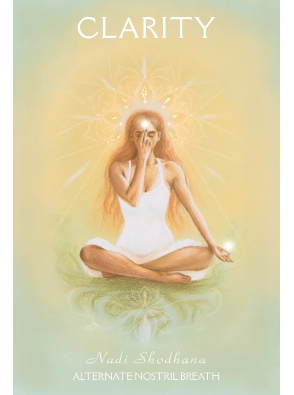 Big Intentions Boxed Card Set by Erin Lee & Keturah Tracey